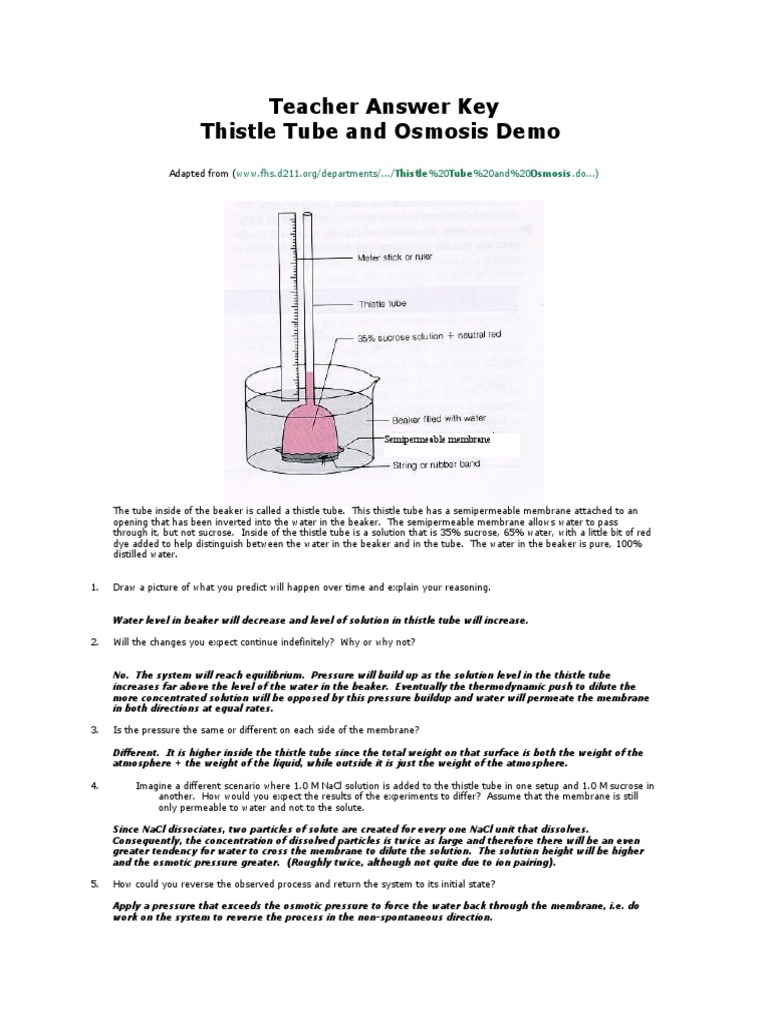 Teacher Answer Key Thistle Tube and Osmosis Demo: Semipermeable ...