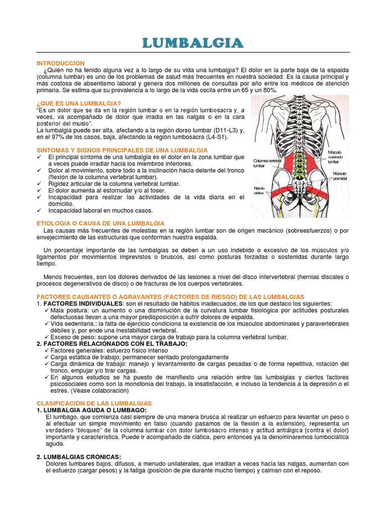 LUMBALGIA | PDF | Dolor lumbar | Sistema nervioso