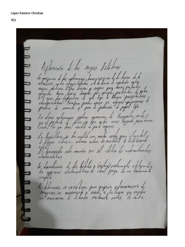 López Ramírez Christian Profile | PDF