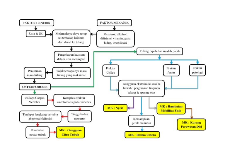 Pathway Osteoporosis Lansia | PDF