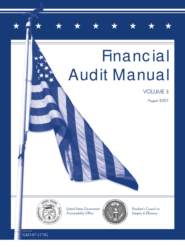 GAO Financial Audit Manual Volume 3 | PDF | Financial Statement ...