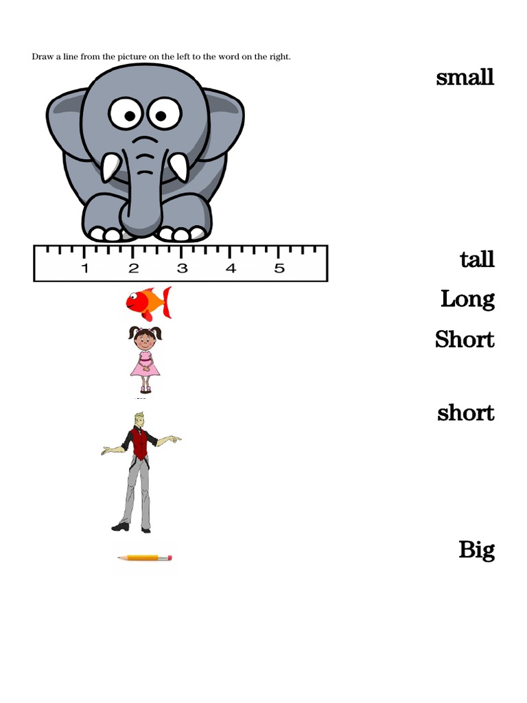 Opposites Activity Worksheet | PDF