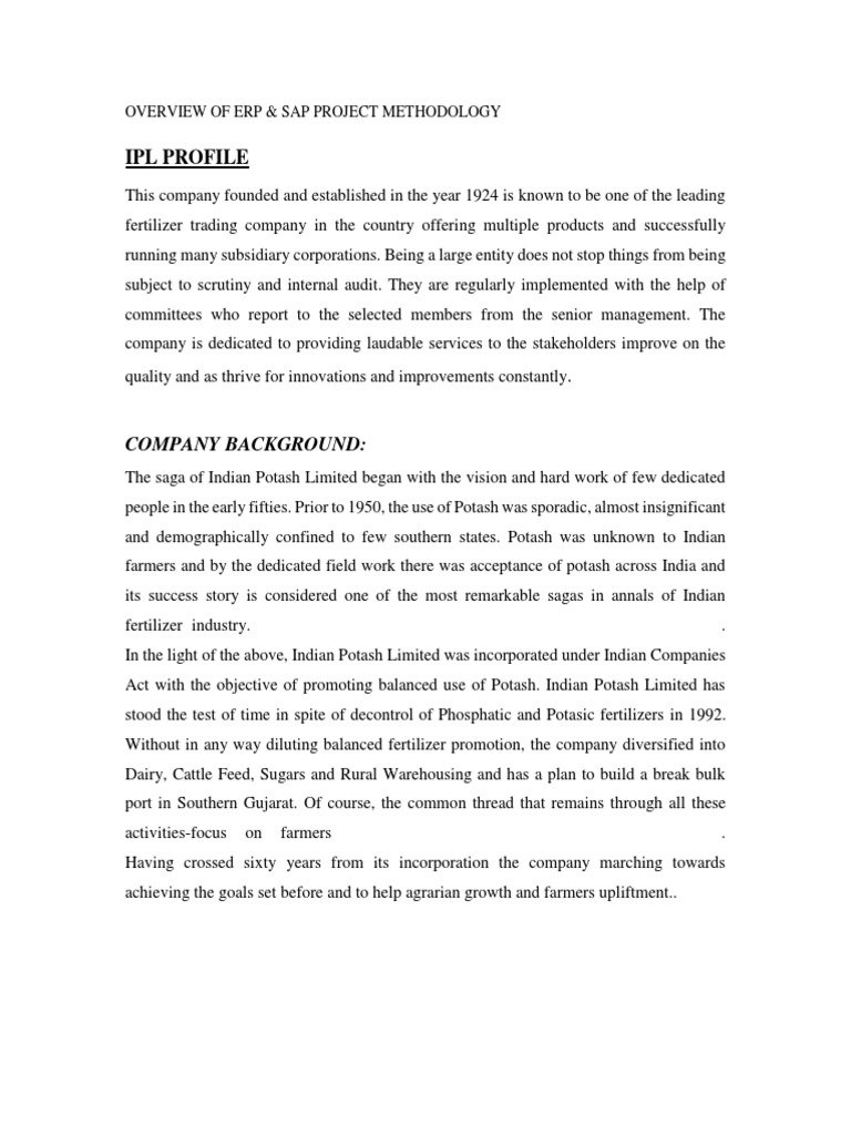 Mba System | PDF | Enterprise Resource Planning | Business Process