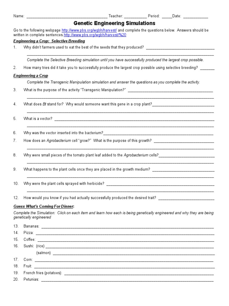 Genetic Engineering Student Guide | PDF | Plant Breeding | Genetic ...