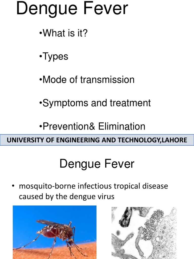Mode Of Transmission Dengue