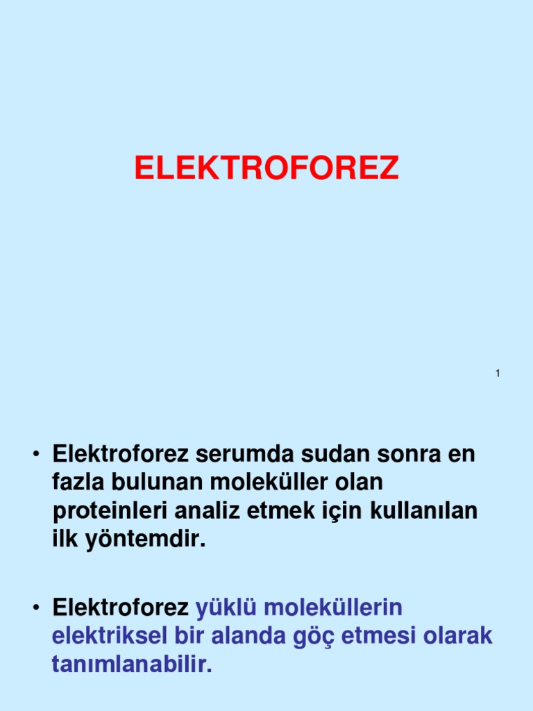 Elektroforez D II | PDF
