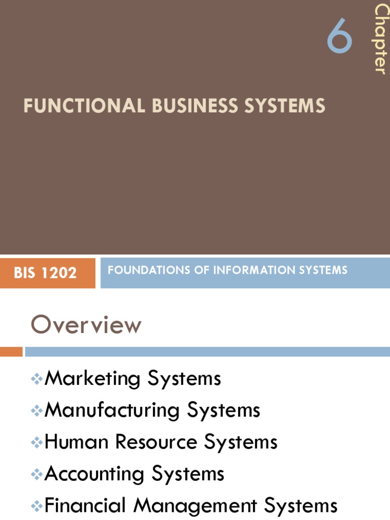 Functional Business Systems: Foundations of Information Systems | PDF ...