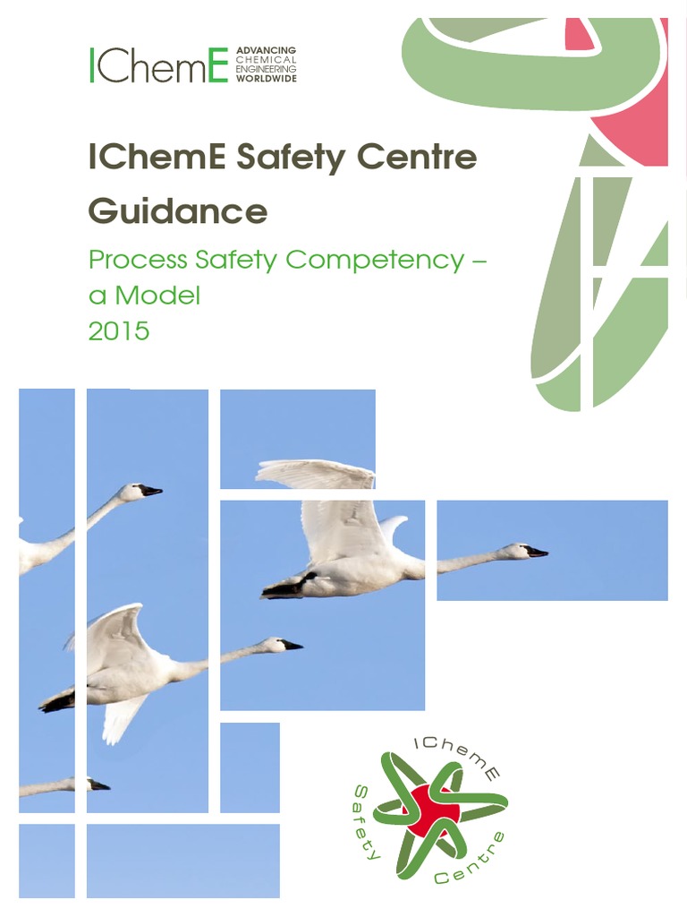 Process Safety Competency | Competence (Human Resources) | Expert