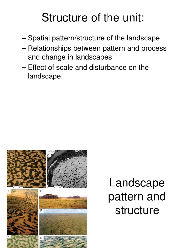 Analyzing Landscape Structure and Patterns | PDF | Landscape ...