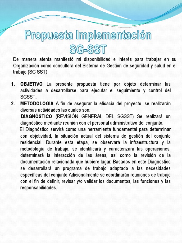 Implementacion SG SST | PDF | Presupuesto | La seguridad
