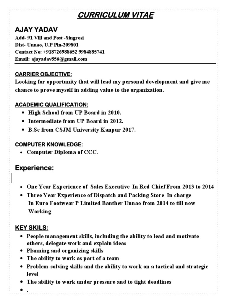 Ajay CV | PDF | Cognition | Business