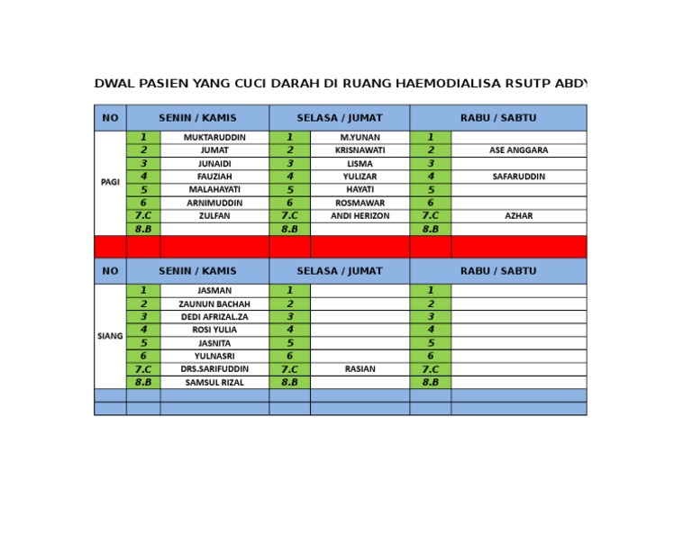 Jadwal Cuci Darah | PDF