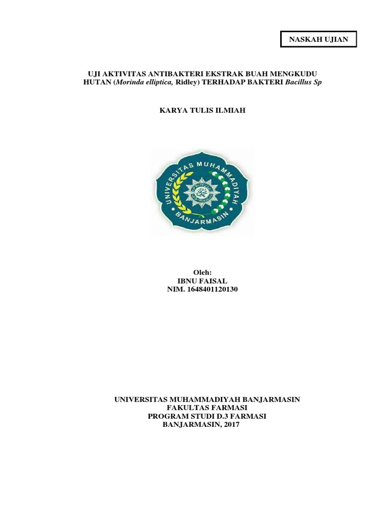 Kti Fix Faisal | PDF