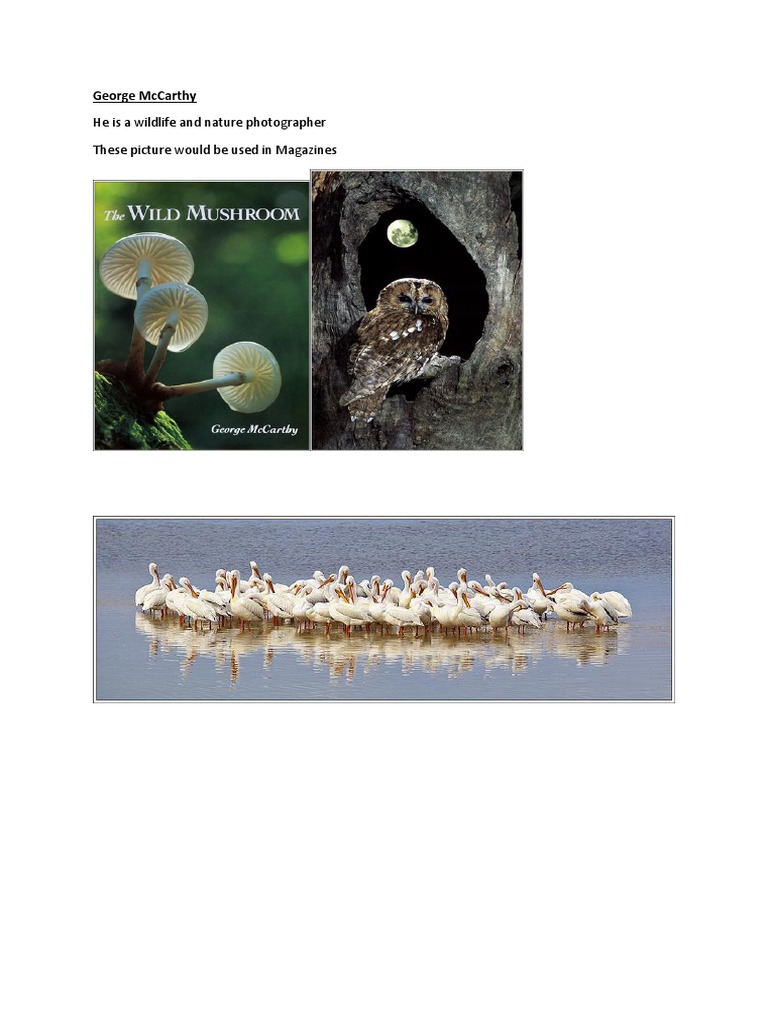 George McCarthy | PDF