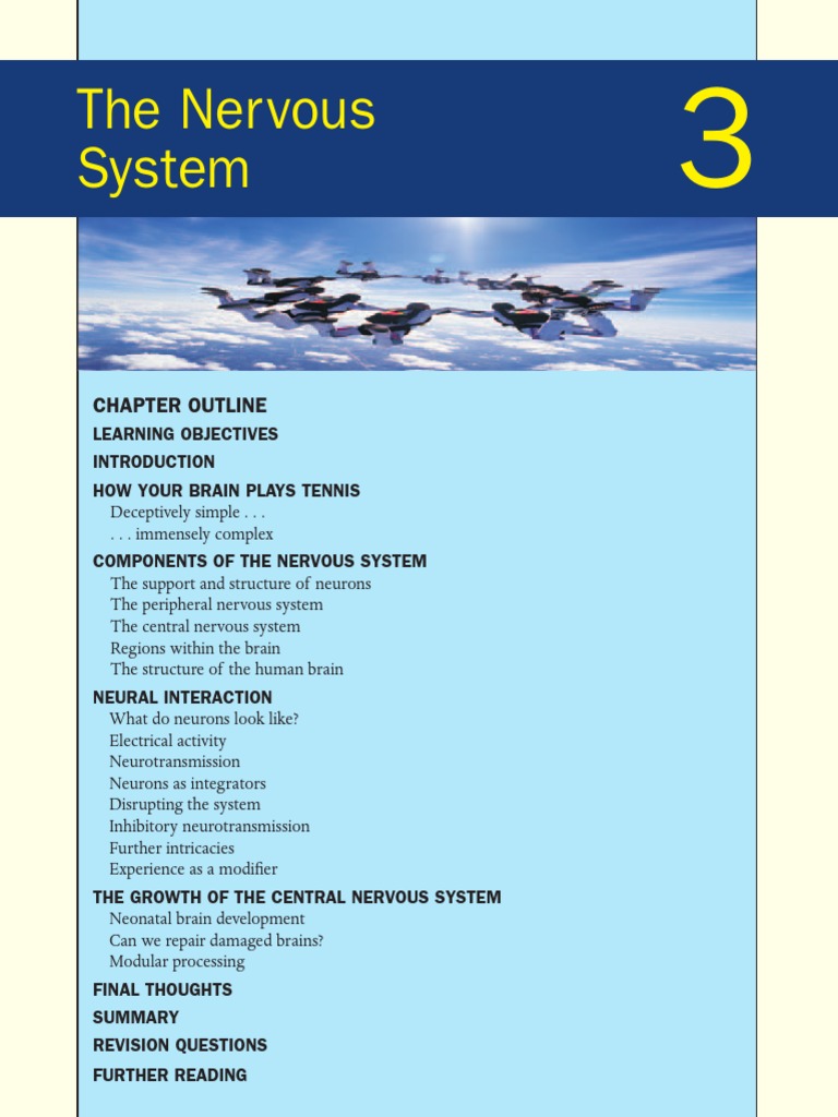 The Ner Vous System: Chapter Outline | PDF | Nervous System | Neuron