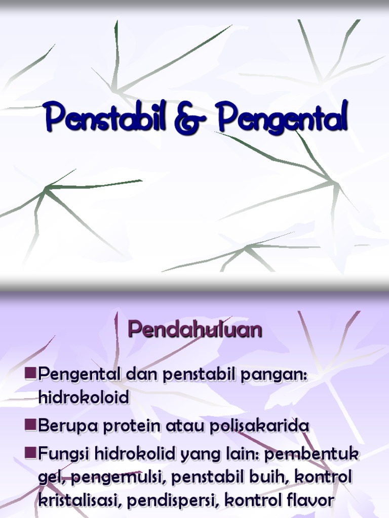 14 Penstabil Dan Pengental PDF | PDF