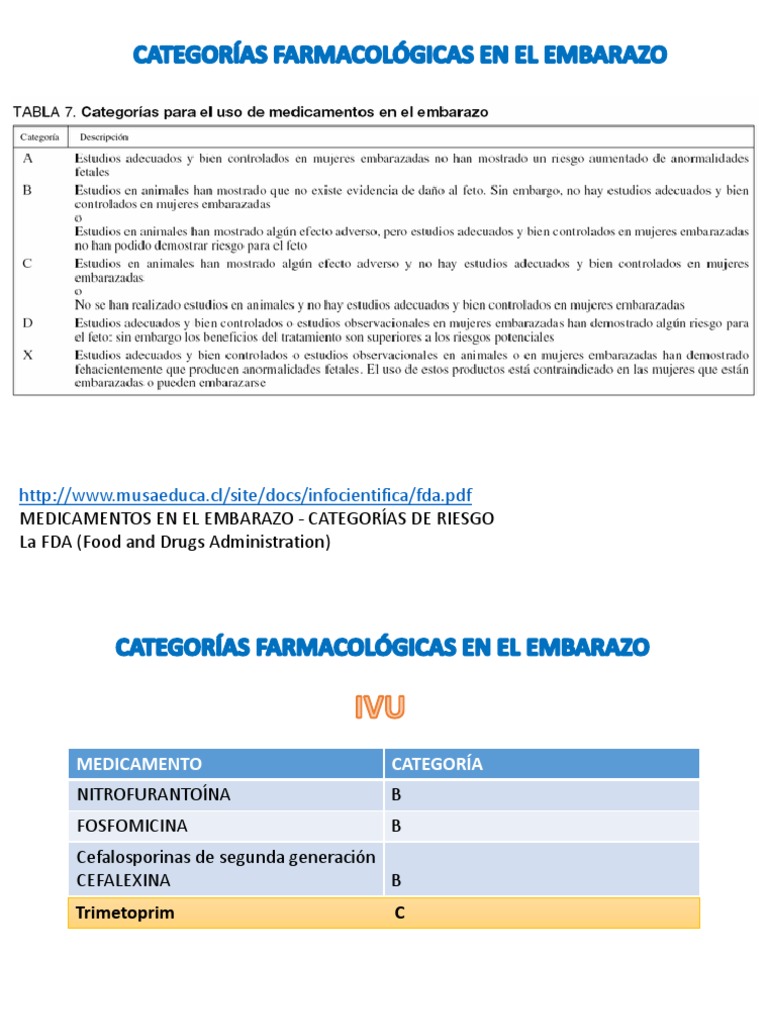 GPC Ivu en El Embarazo | PDF | Infección del tracto urinario ...