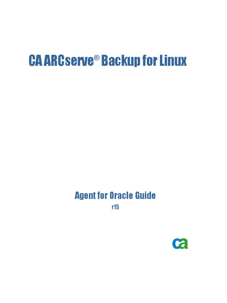 Rman Concepts Oracle Database Backup
