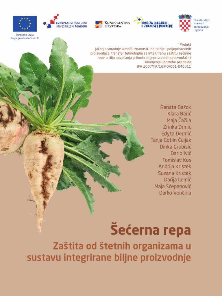 Secerna Repa Knjiga | PDF