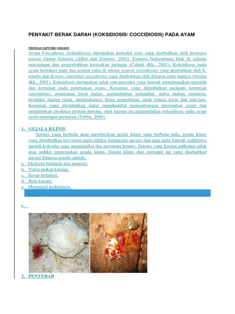 Penyakit Berak Darah | PDF | Kesehatan Holistik | Sains & Matematika