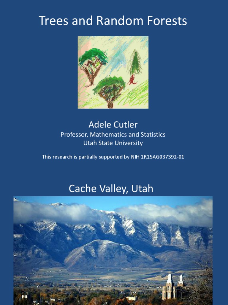 Random Forest PDF | PDF | Cross Validation (Statistics) | Regression ...