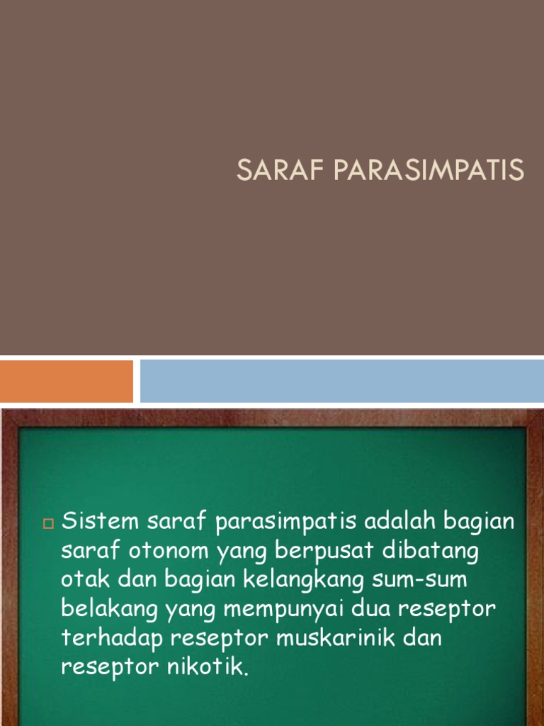 Saraf Parasimpatis | PDF | Pengembangan Diri | Kesehatan Holistik