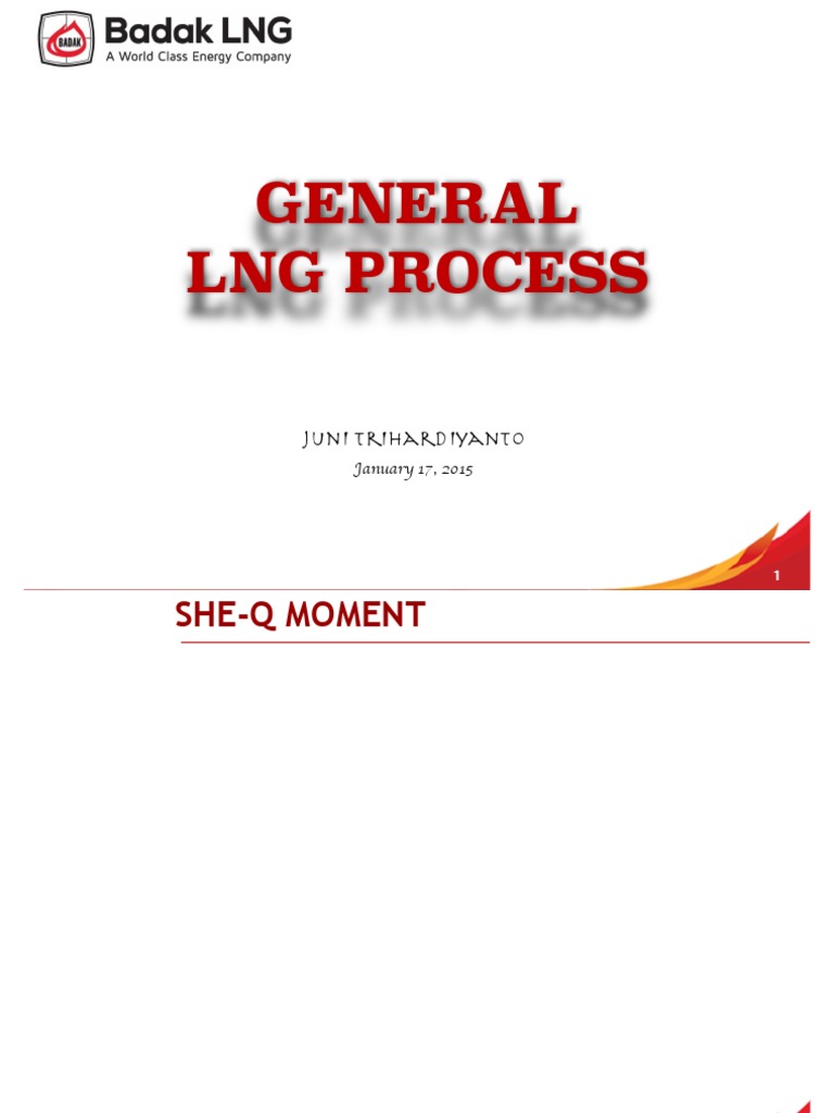 General LNG Process | PDF | Liquefied Natural Gas | Propane