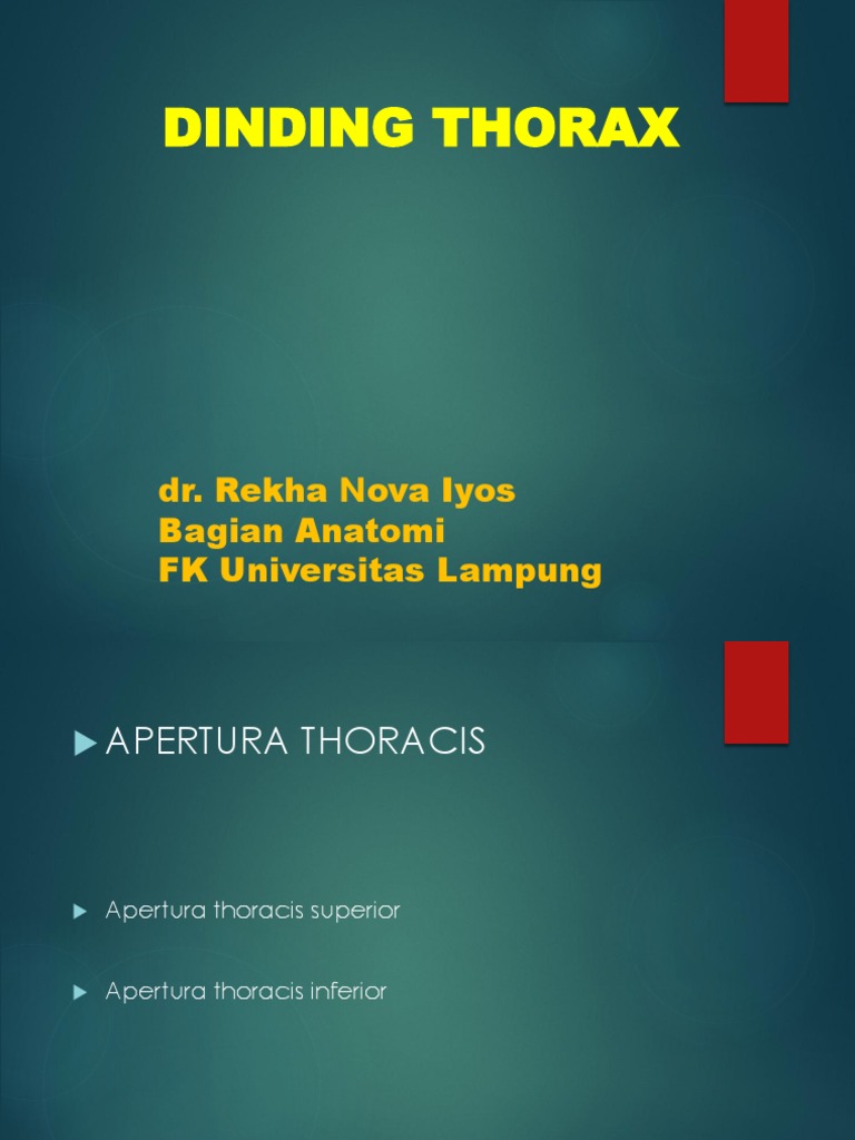 Dinding Thorax New | PDF
