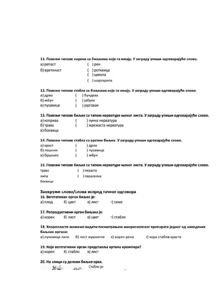 Kontrolni Iz Biologije Za 5 Razred Lekcije Koren, Stablo, List | PDF