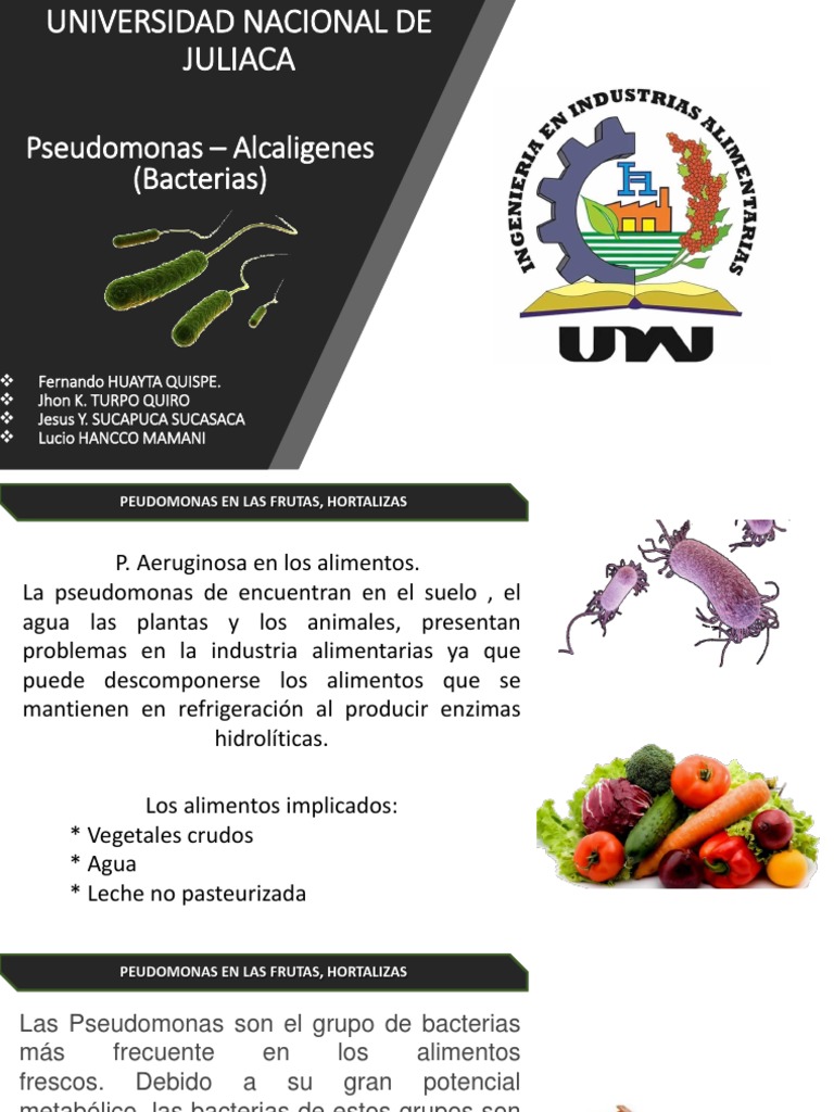 Pseudomonas y Alcaligenes | PDF | Pseudomonas | Alimentos