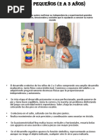 Que Es Un Cdi | PDF | Educación de la primera infancia | Sicología