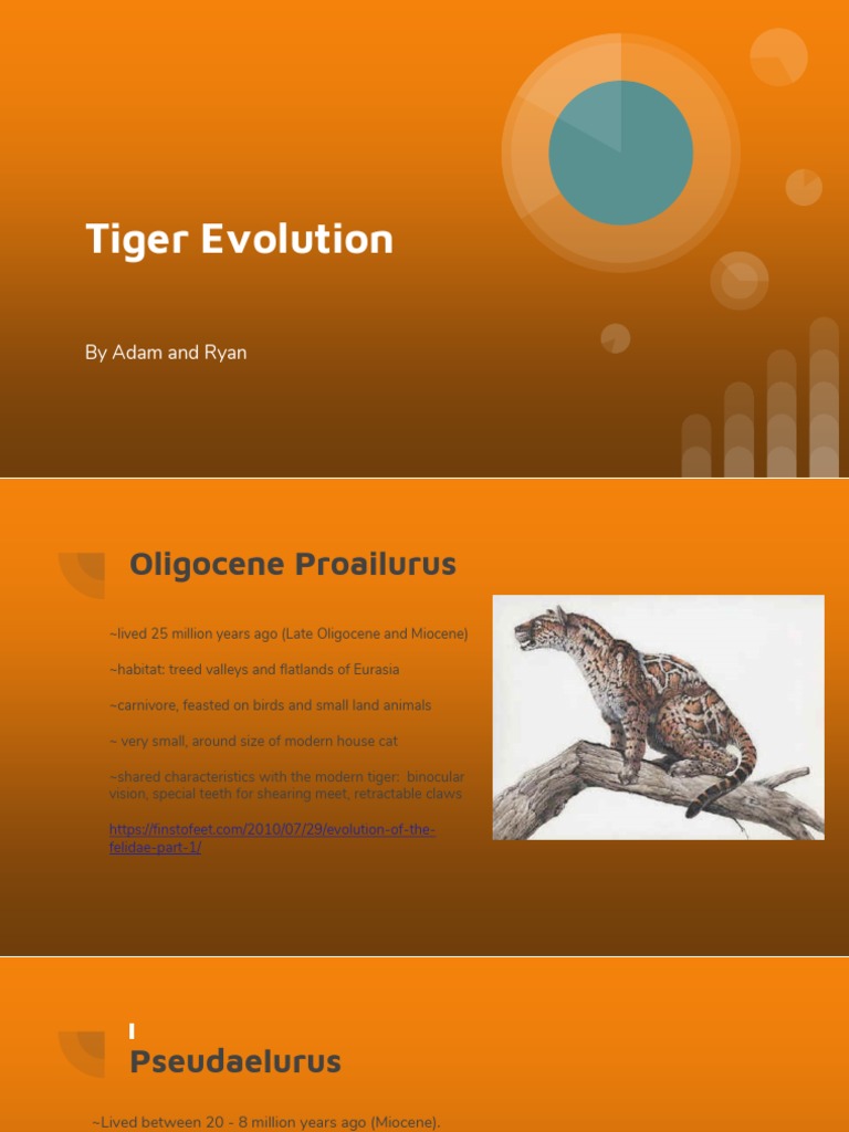 Tiger Evolution | PDF