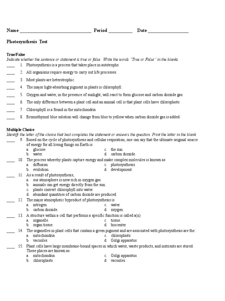Photosynthesis Test | PDF | Photosynthesis | Chloroplast