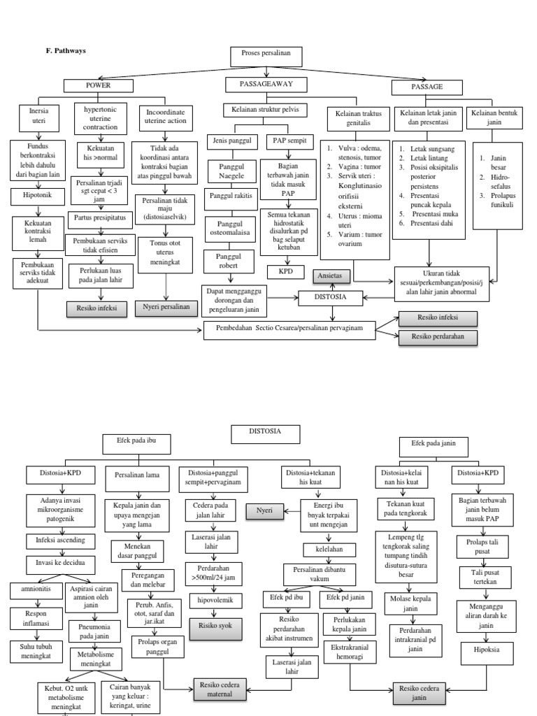 F. Pathways: Hypertonic Uterine Contraction Incoordinate Uterine Action ...