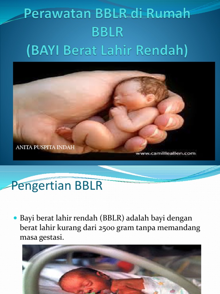 Power Point BBLR | PDF