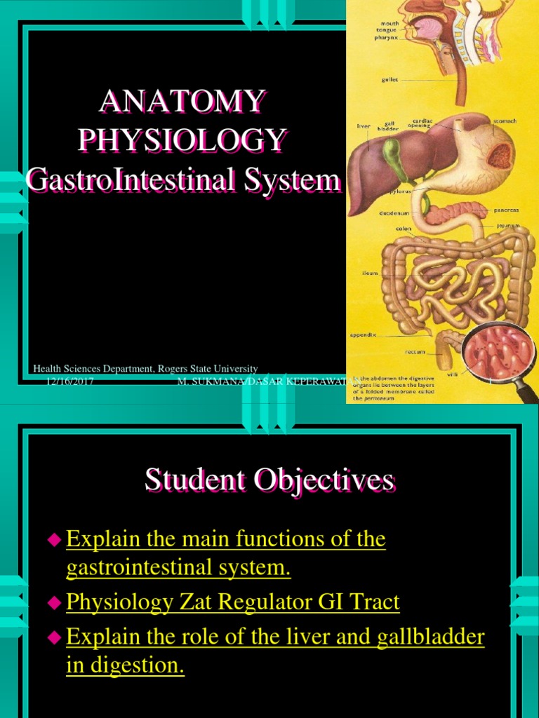 Anatomy Physiology Gastrointestinal System | PDF