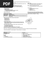 Anemia Brochure | PDF | Anemia | Blood