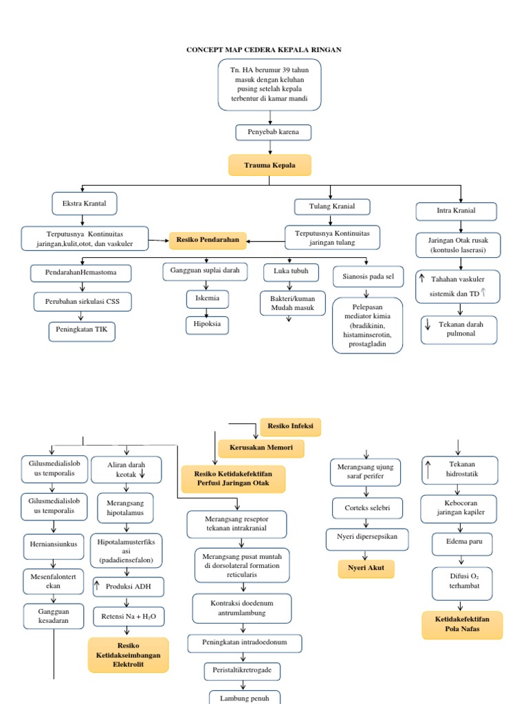 Pathway Cedera Kepala | PDF