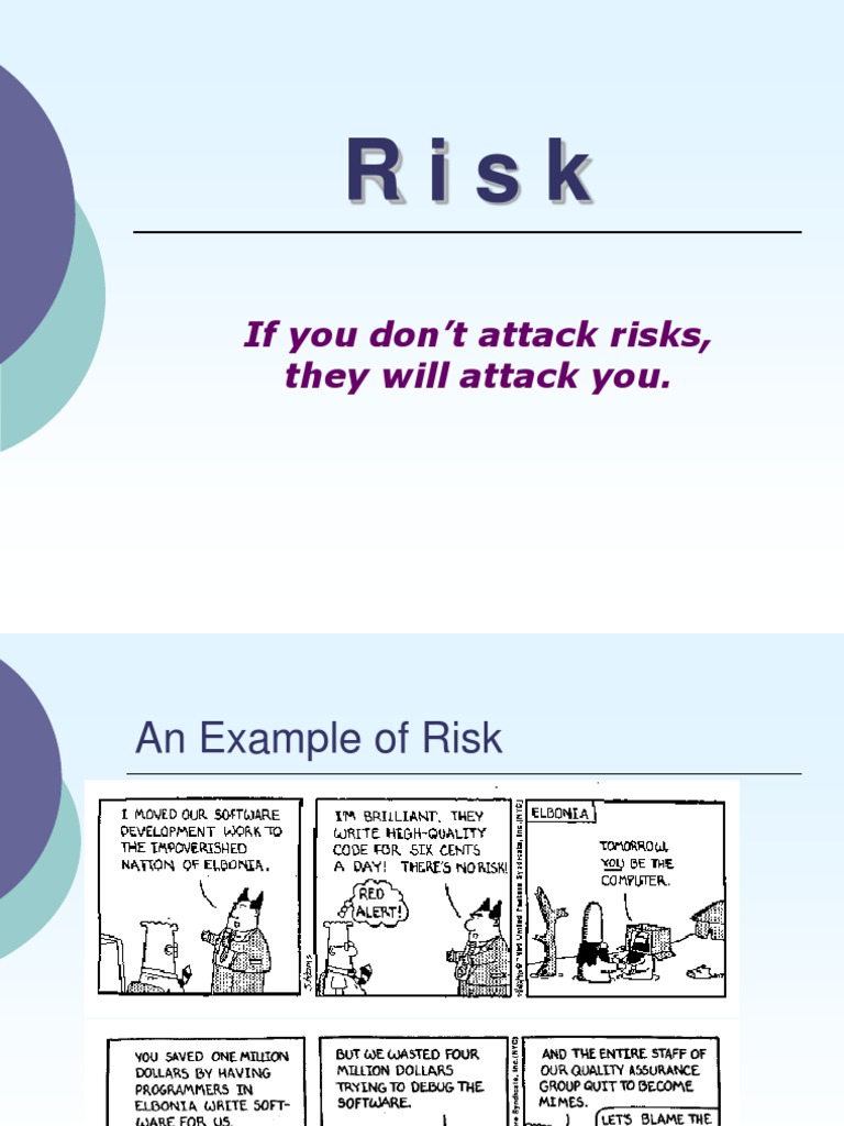 Risk Management in SPM | PDF | Risk | Risk Management