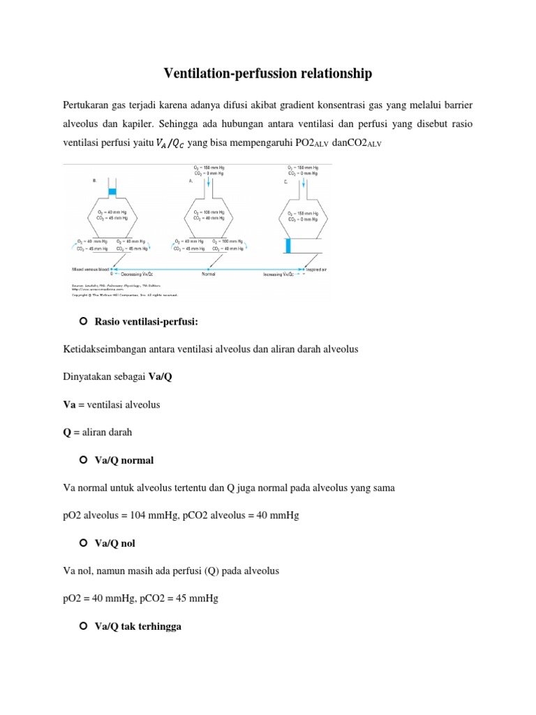 Rasio Ventilasi-Perfusi dalam Paru | PDF