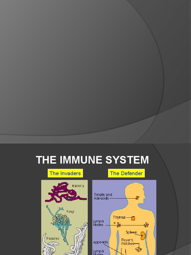 Complement System | PDF | Complement System | Immune System