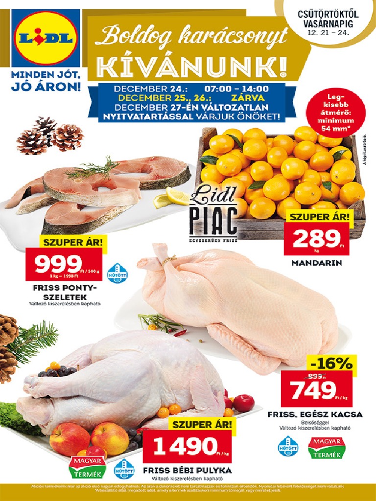 Lidl | PDF