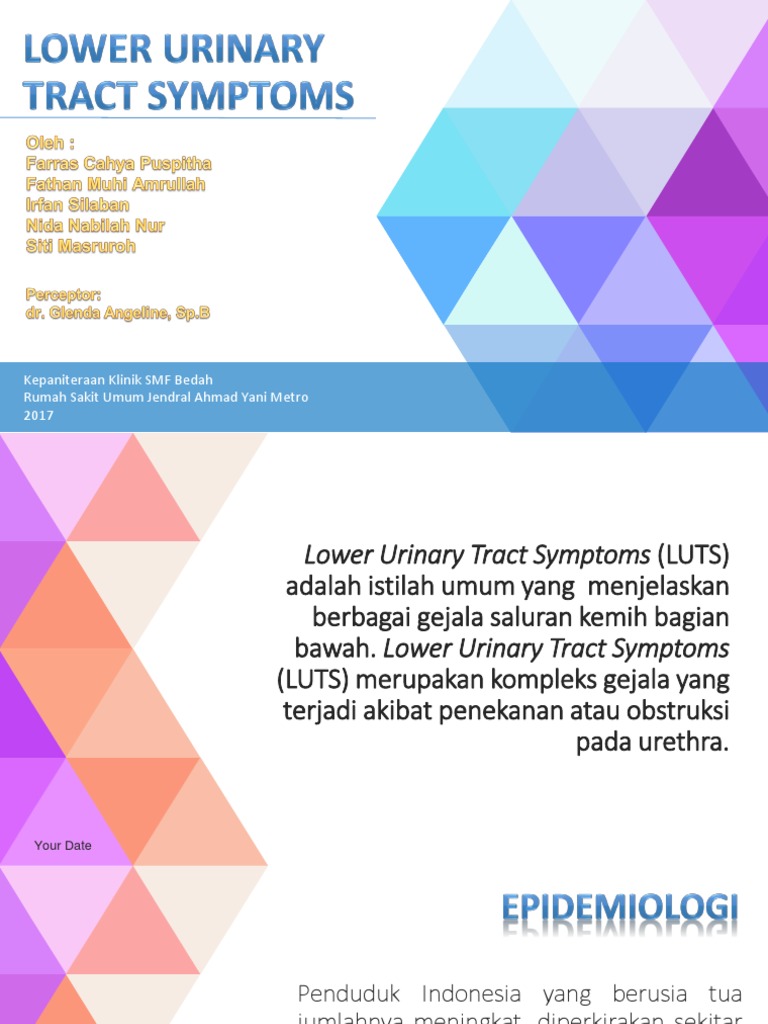 Gejala dan Penanganan LUTS | PDF