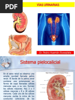 Guía de Sutura Colchonero Horizontal | PDF | Cirugía | Especialidades ...