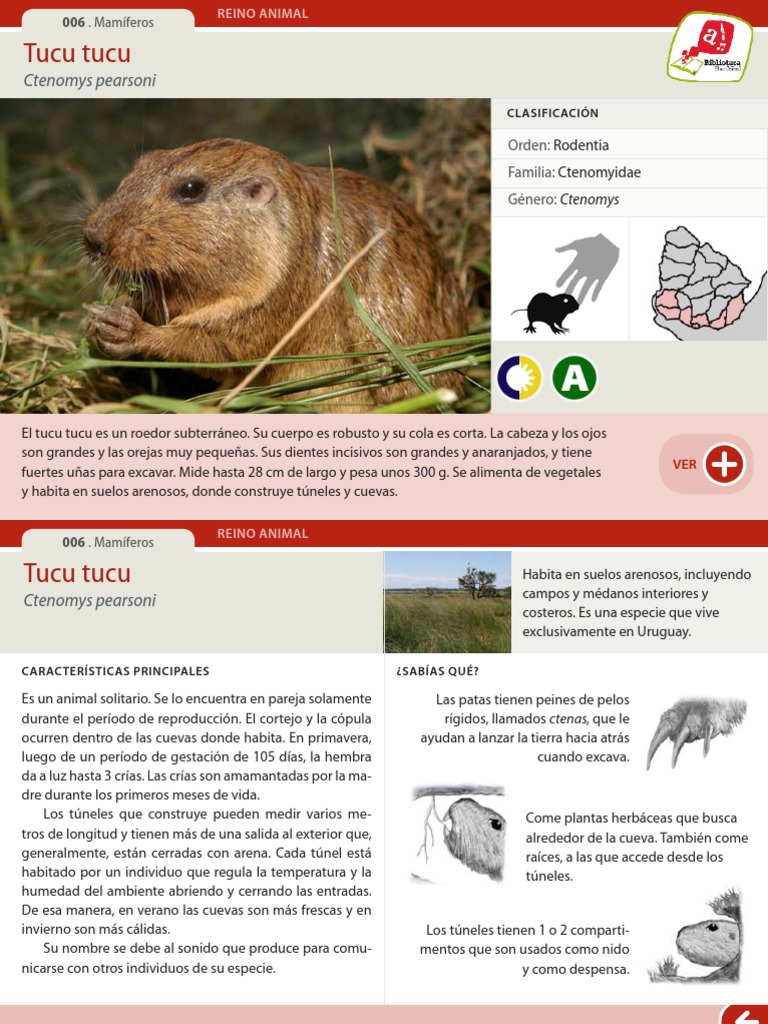 006 Tucu Tucu | Descargar gratis PDF | Roedor | Naturaleza