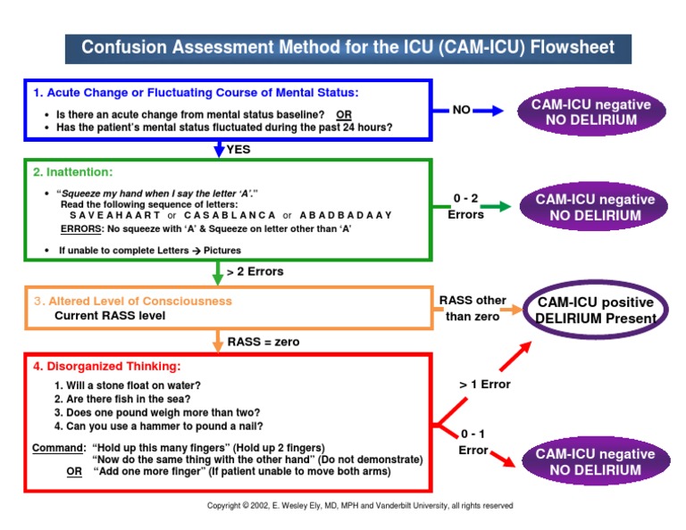 CAM ICU Flowsheet