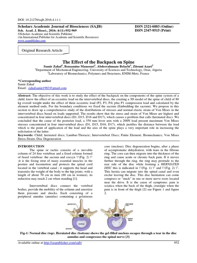 Sajb 411952 969 | PDF | Vertebral Column | Vertebra