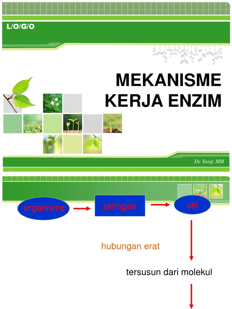 Mekanisme Kerja Enzim | PDF