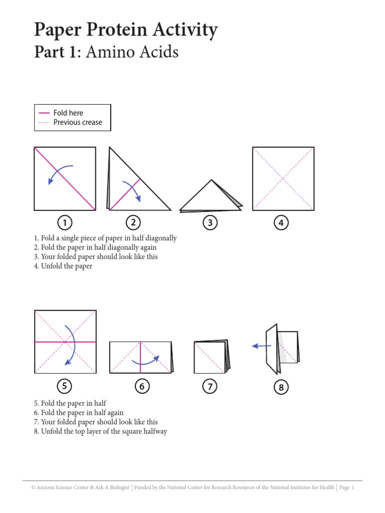 Origami Protein Handout | PDF | Proteins | Origami