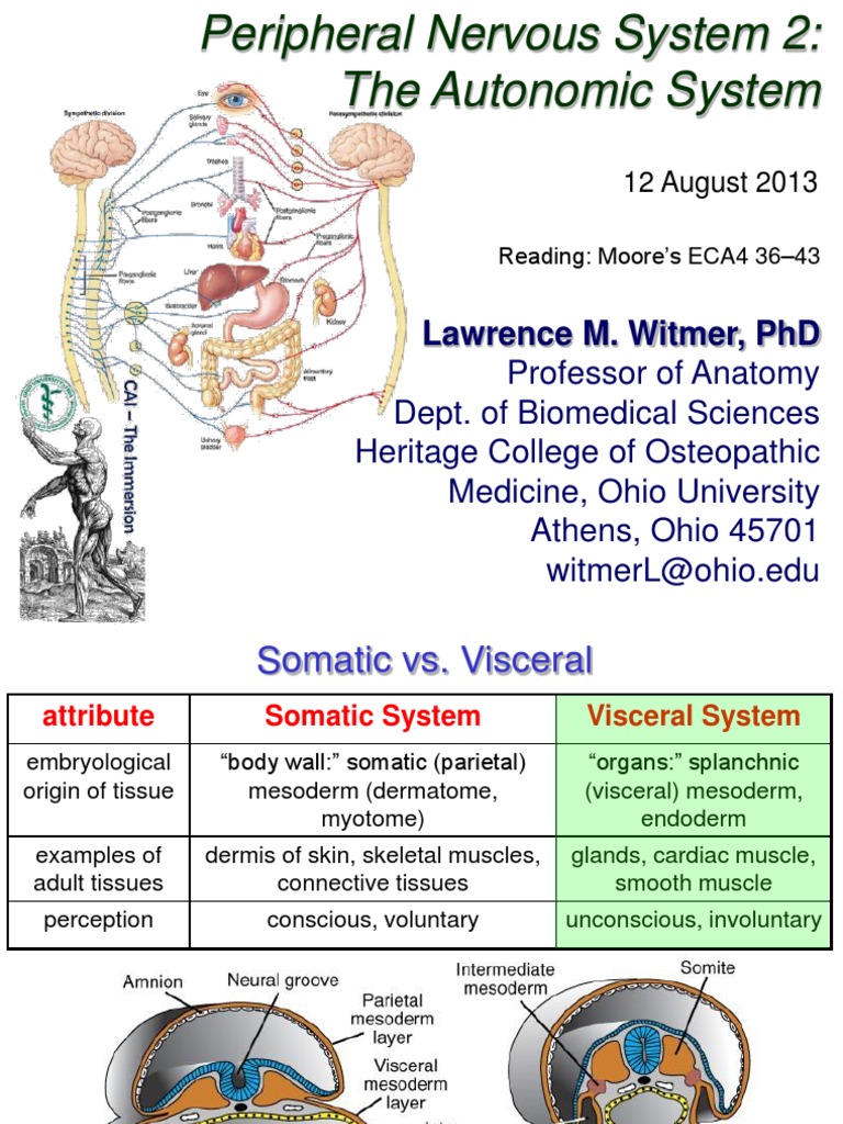 Professor of Anatomy Dept. of Biomedical Sciences Heritage College of ...